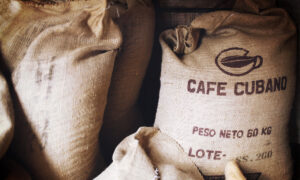 Bebidas típicas de Cuba - Lo más típico